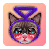 Teletubbies cat on TikTok