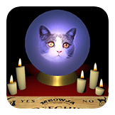 Cat Seance on TikTok