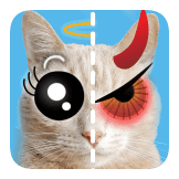 Angel Devil Cat on TikTok