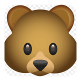 Lenslist Bear on TikTok