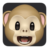 Monkey by Florencia Raffa on TikTok