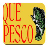 YO PESCO on TikTok