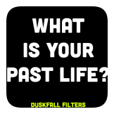 Funny Past Lives on TikTok