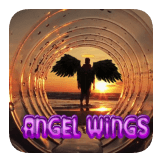 Angel Wings on TikTok