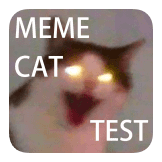 meme cat test on TikTok