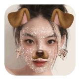 Blink Puppy on TikTok